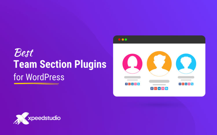 8 Best Wordpress Team Member Plugin To Check Out